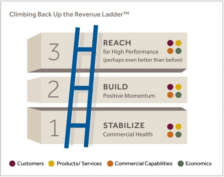 Climbing Back Up the Revenue Ladder™ | Blue Ridge Partners