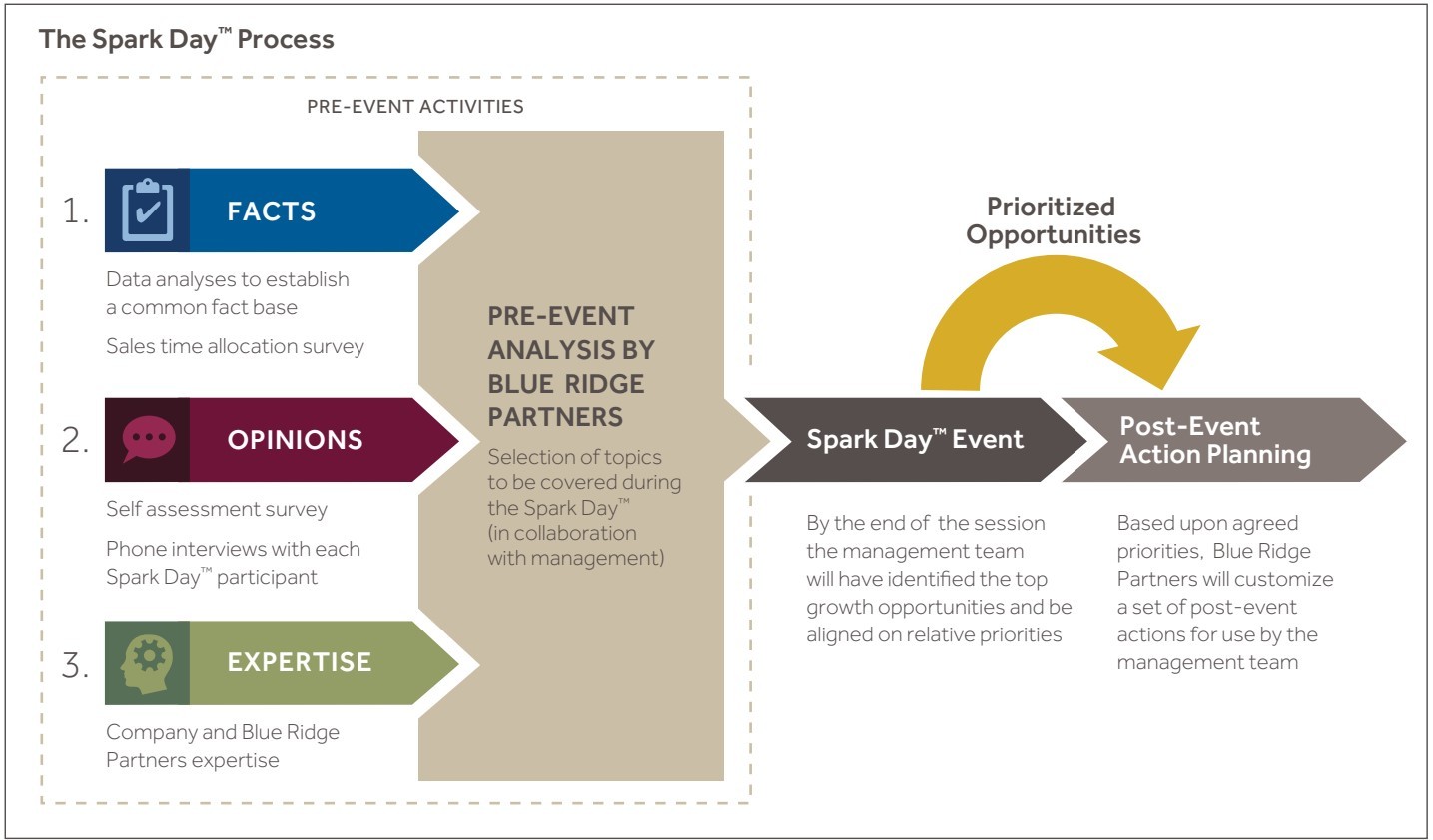 Spark Day™ Fast Path for Accelerating Profitable Revenue Growth | Blue ...